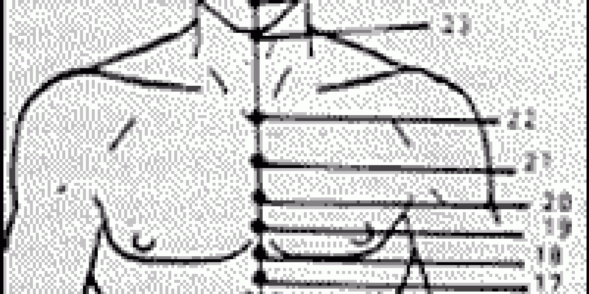 The Most Important Notes of Acupuncture -- Part IV | Dynamic Chiropractic