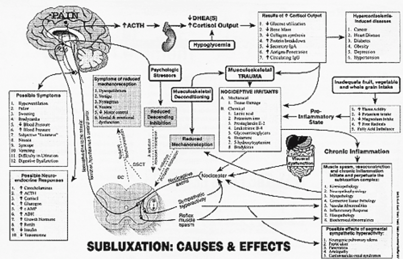 Subluxation: Causes and Effects | Dynamic Chiropractic
