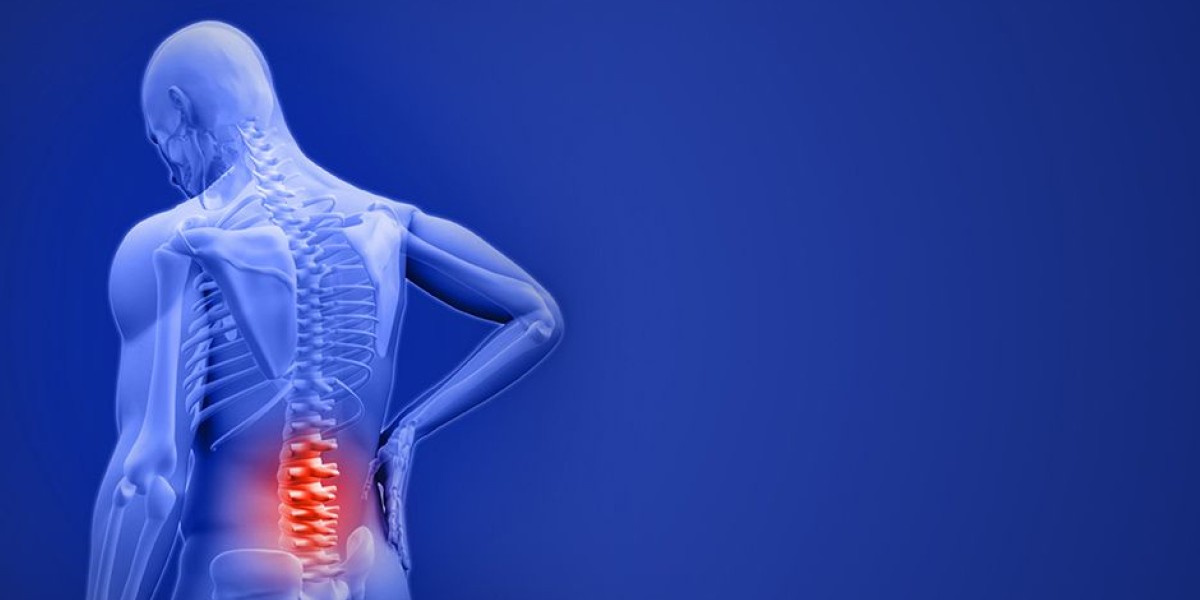 Are Lumbar Disc Pain and Maigne Syndrome Opposites or Connected ...