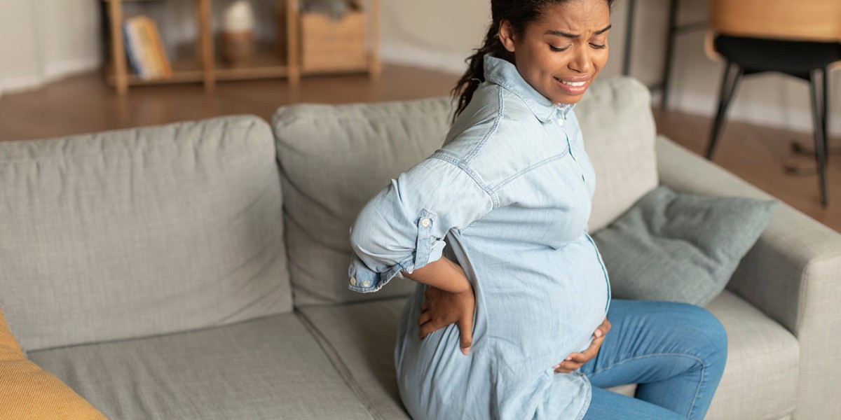 Pregnancy-Related Changes Induce Low Back and Lower Extremity Pain ...