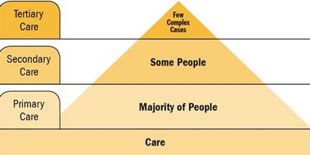 4 Things Every DC Should Know About Levels of Care & Prevention ...