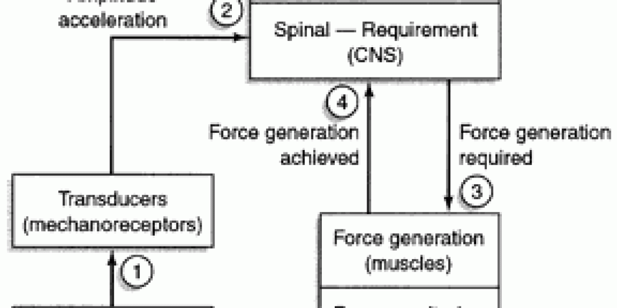 Rehabilitation for Cervical Stability | Dynamic Chiropractic