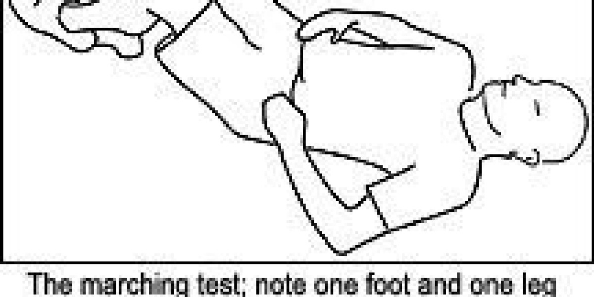 Assessing Core Stability: Basic Evaluation, Basic Exercises | Dynamic ...