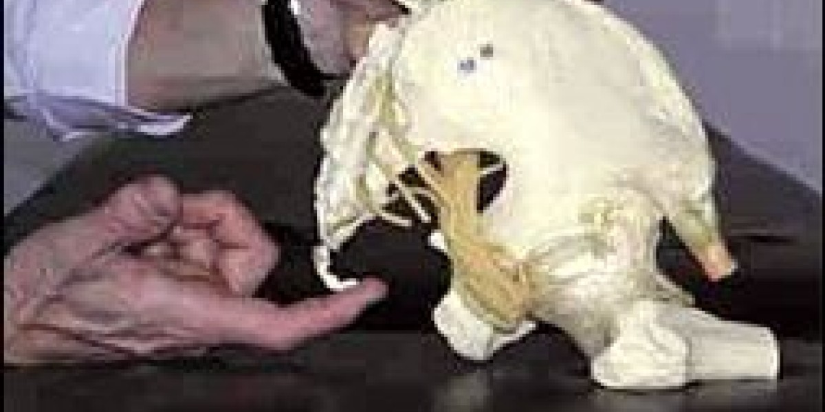 The Coccyx | Dynamic Chiropractic