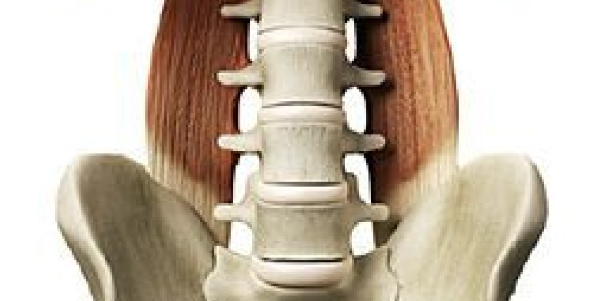 Elevated Shoulder? Check the QL | Dynamic Chiropractic