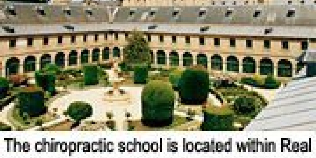 Classes Underway at Spain's First Chiropractic School | Dynamic ...