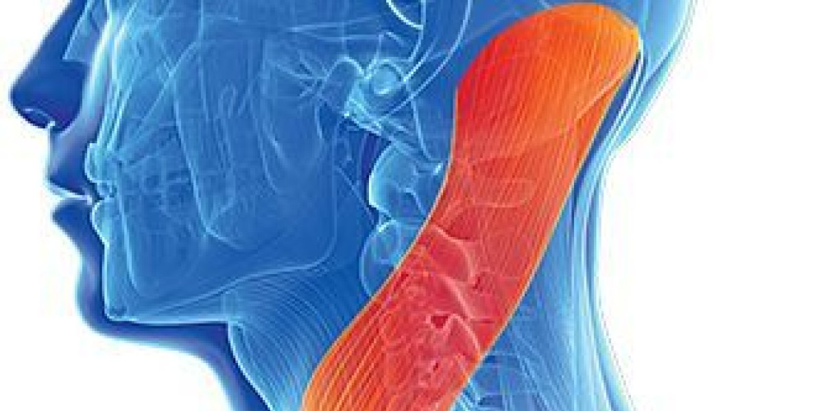 Pain in Motion: Neck Pain Caused by Sternocleidomastoid Imbalance ...